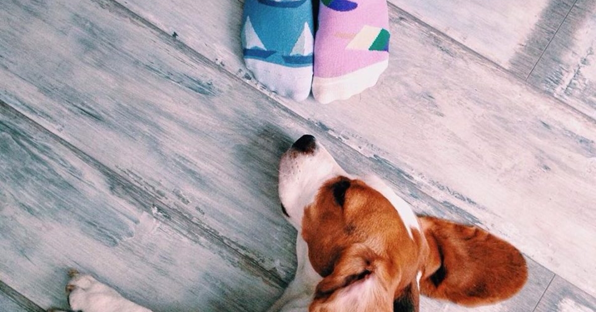 Sammy Icon выпустили красочный рекламный ролик - Афиша bigmir)net